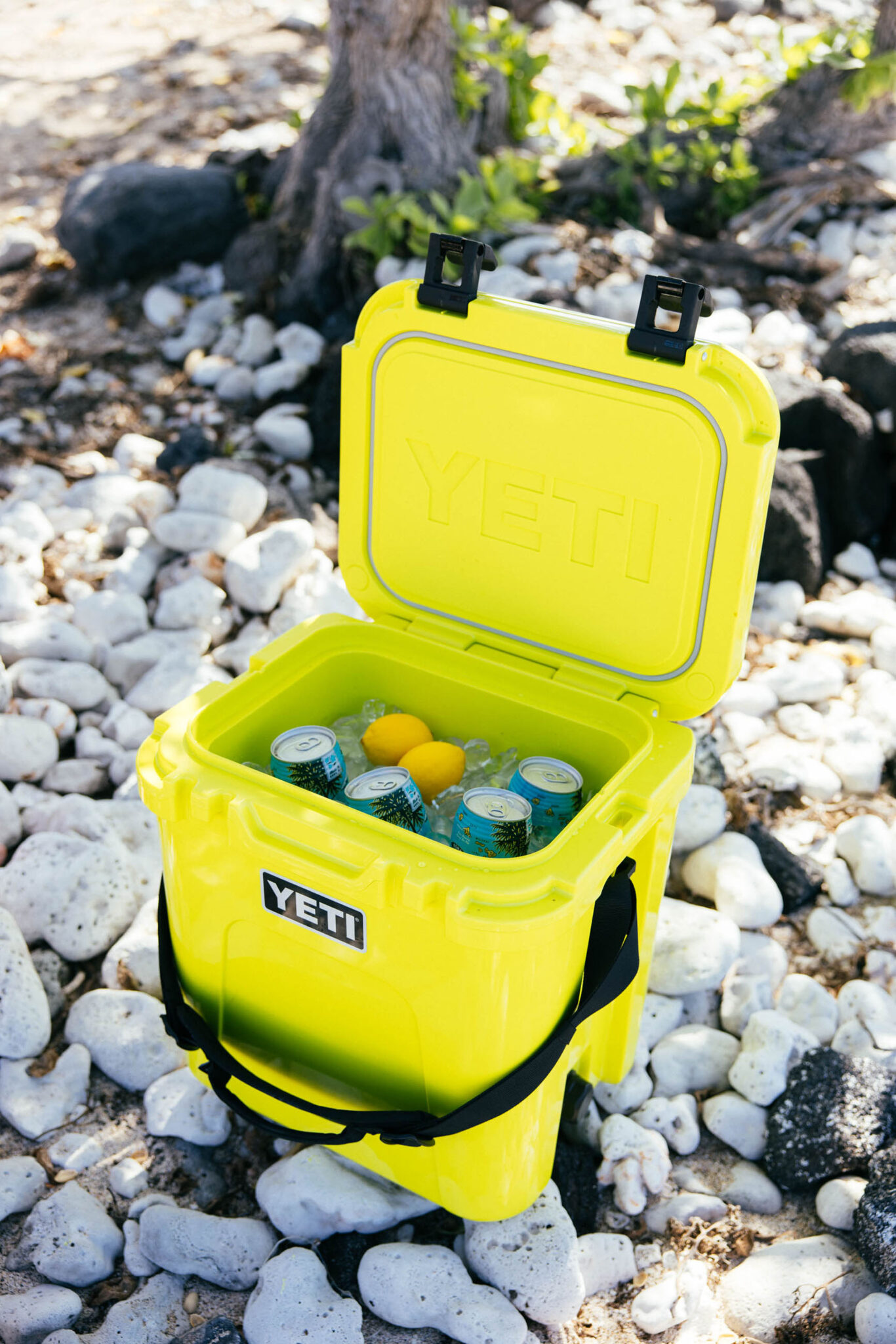 プレミアムクーラーボックス「YETI®」が「YETI® JAPAN」を設立して新作コレクションを発表！ ｜ FLY BASKETBALL ...